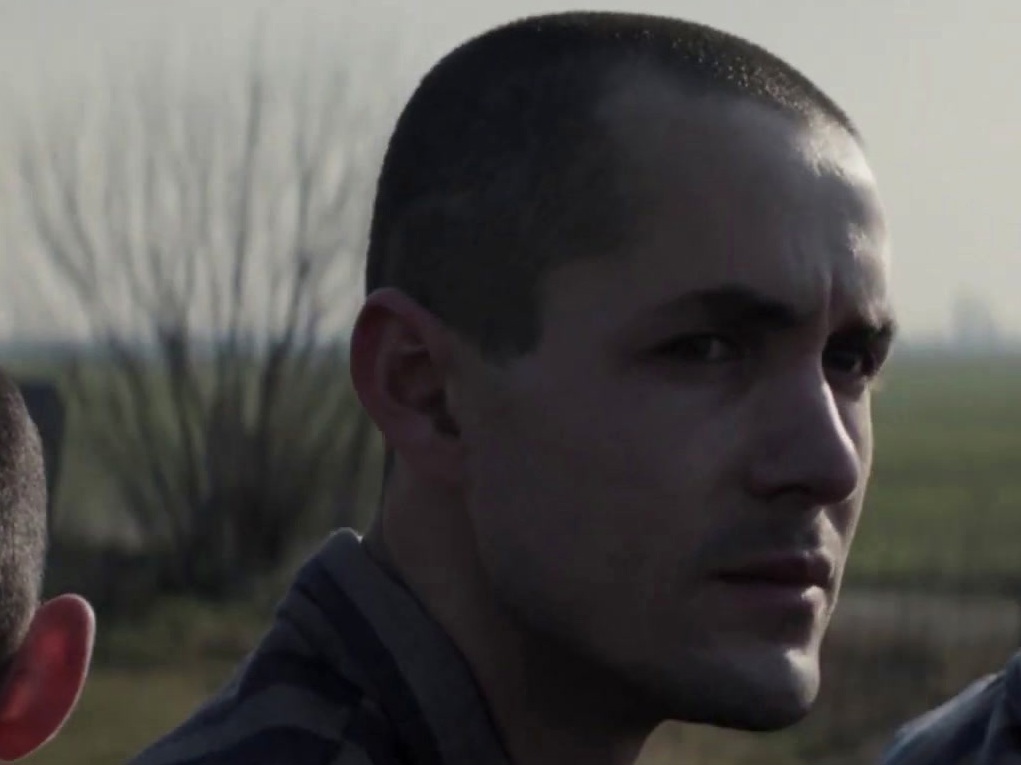 The Tattooist Of Auschwitz: Season 1 (UK) - TV Guide