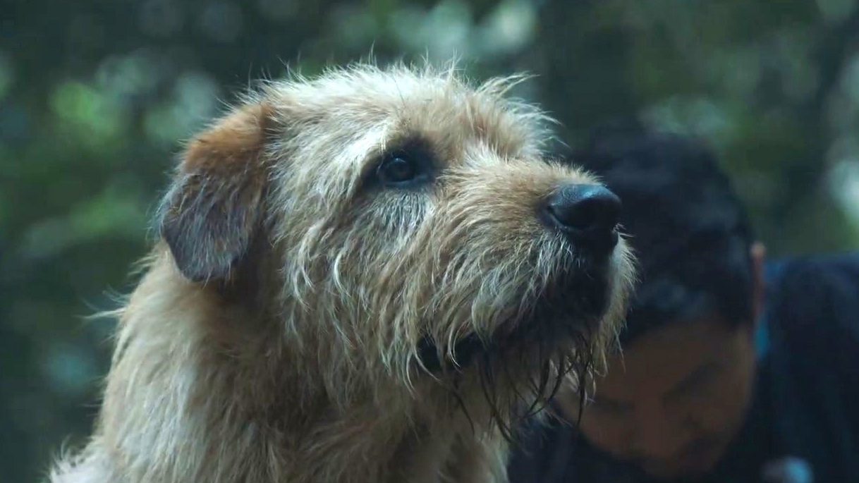 Arthur The King: Mark Wahlberg Shares His Character Building Routine (Featurette) - TV Guide