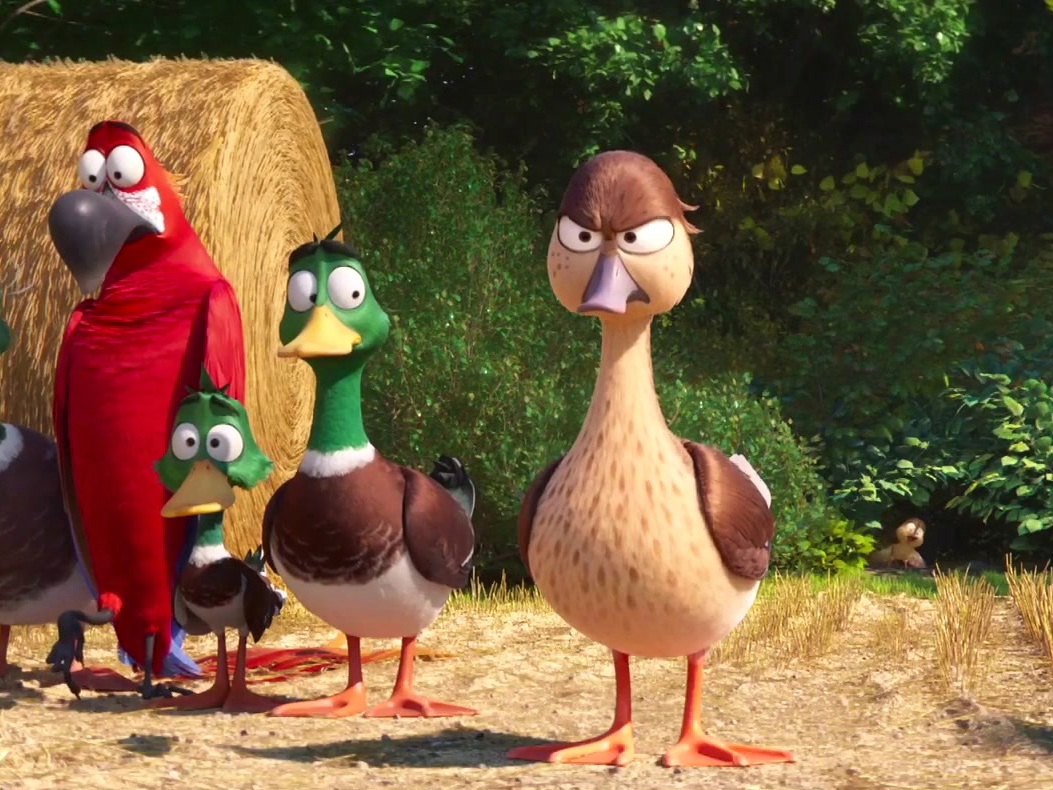 Migration: Duck A L'Orange - TV Guide