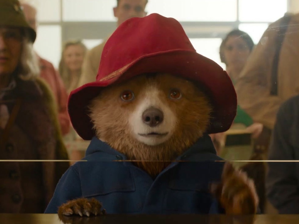 Paddington in Peru - Where to Watch and Stream - TV Guide