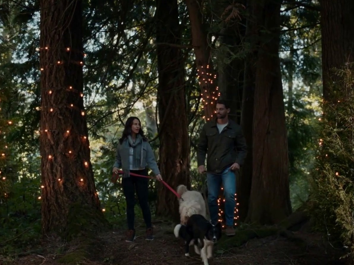 Happy Howlidays - Where to Watch and Stream - TV Guide