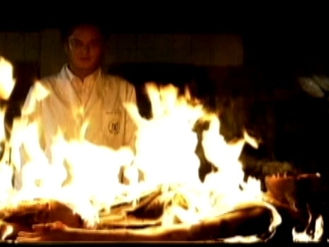 Cadaver - Where to Watch and Stream - TV Guide