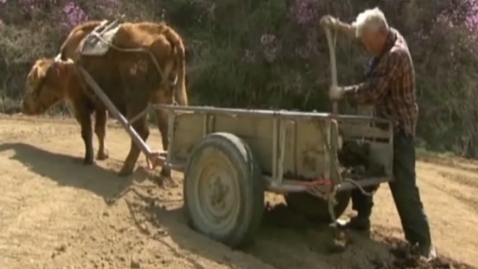 Old Partner - Where to Watch and Stream - TV Guide