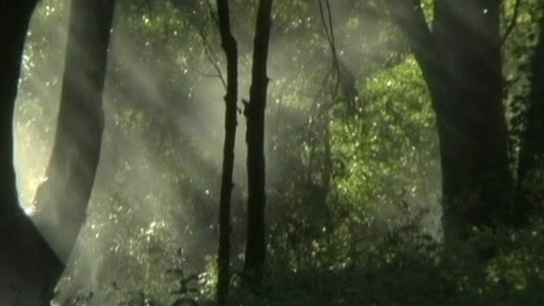 Beyond the Barbed Wire: An Artist View of the Holocaust - Where to ...