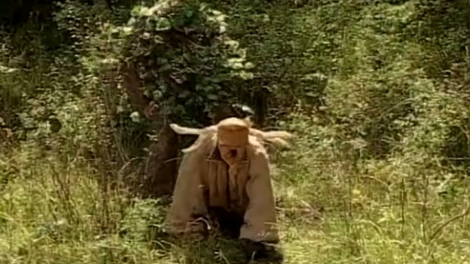 Tim and Harvey in the Great Outdoors - Where to Watch and Stream - TV Guide