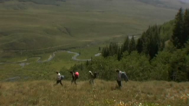 Fern Hill - Where to Watch and Stream - TV Guide