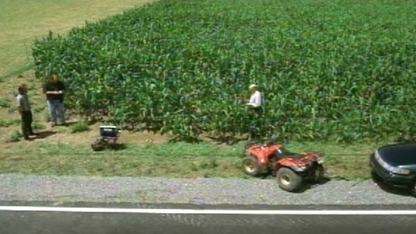 Corn - Where to Watch and Stream - TV Guide