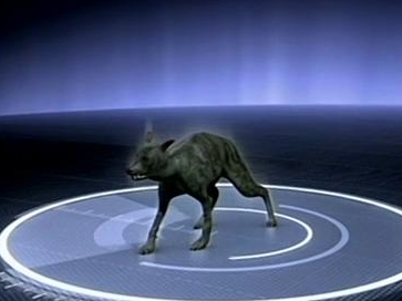 Monster Quest: Mega Hog - TV Guide