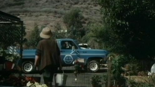 Ellen Maxted - TV Guide