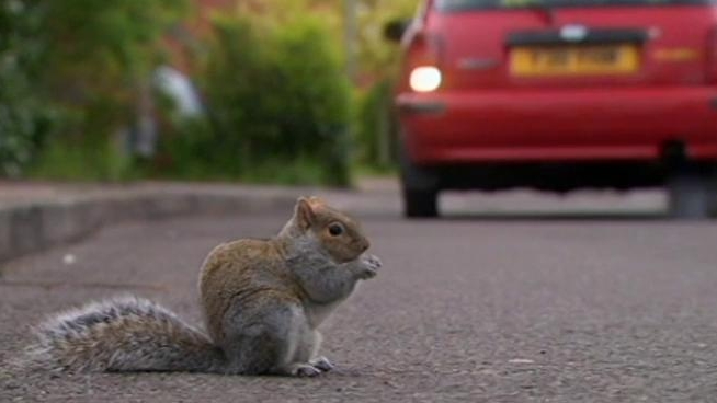 The Inbetweeners: Will Is Home Alone - TV Guide