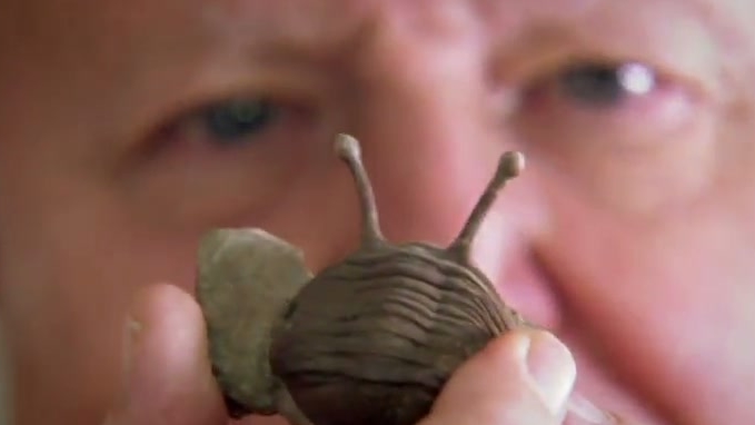 First Life - Where to Watch and Stream - TV Guide