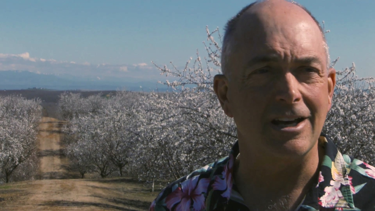 Randolf Menzel - TV Guide