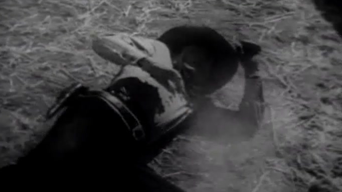 Bob Custer - TV Guide