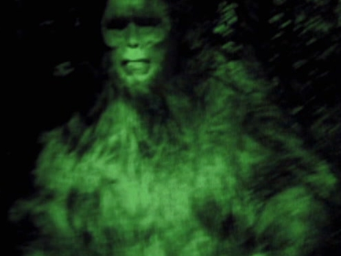 Alien Creatures From Beyond Scientists Film Footage Of Alien,