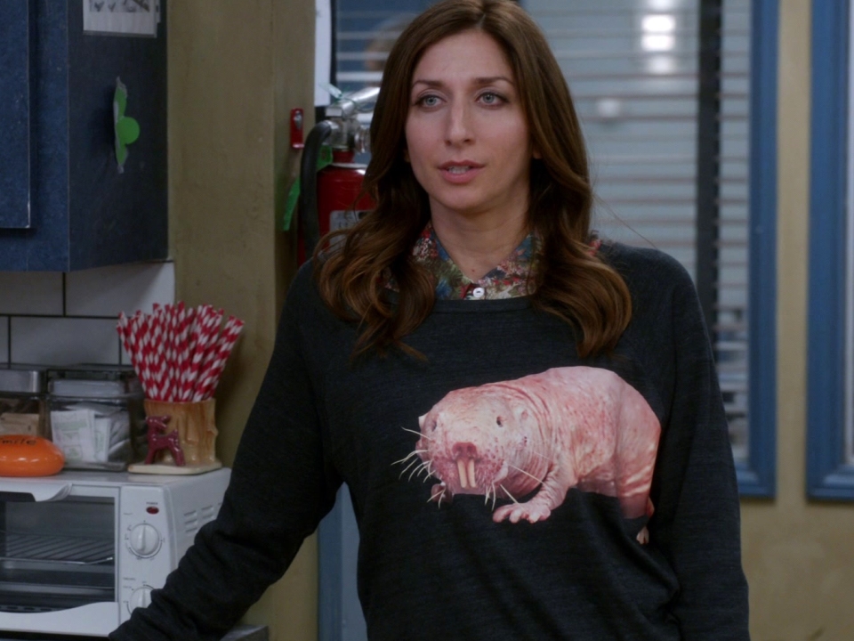 Brooklyn Nine-Nine - Where to Watch and Stream - TV Guide