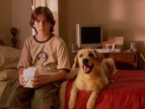 Stephanie Sherrin - TV Guide