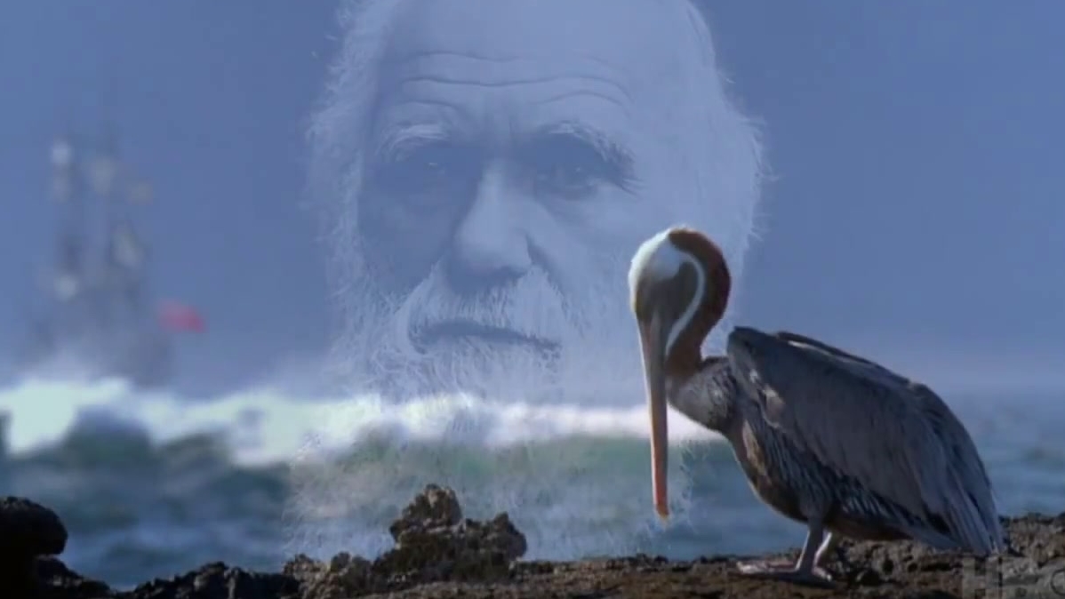 Questioning Darwin - Where to Watch and Stream - TV Guide