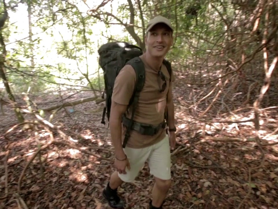 The Island - Where to Watch and Stream - TV Guide