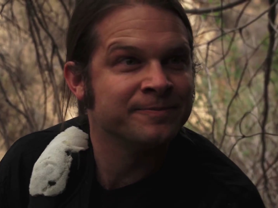 Darcy DeMoss - TV Guide