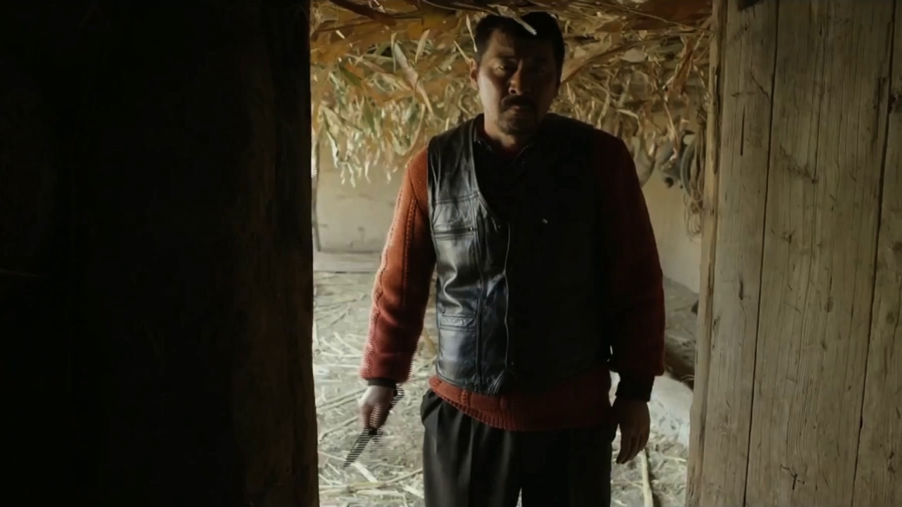 A Fool - Where to Watch and Stream - TV Guide