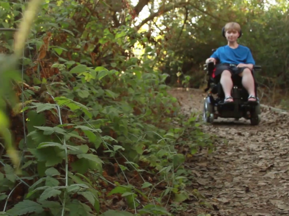 Dusty's Trail: Summit of Borneo - Where to Watch and Stream - TV Guide