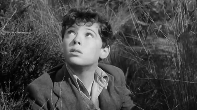 Arnold Bell - TV Guide