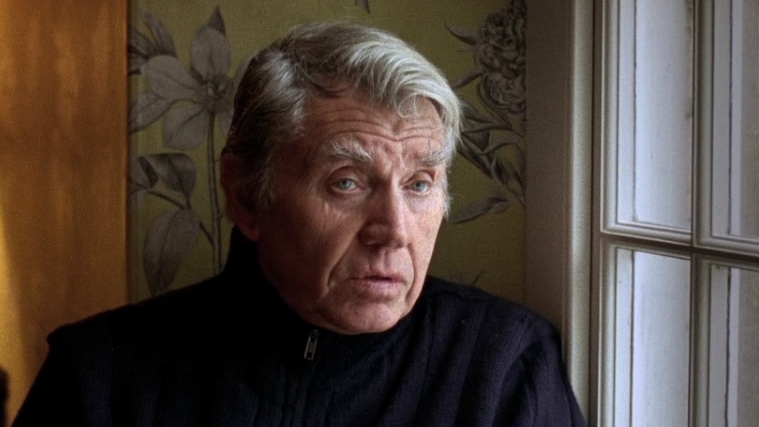 David Morris - TV Guide