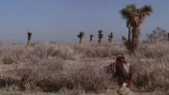 Zombie Nation - Where to Watch and Stream - TV Guide