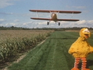 Sesame Street Presents: Follow That Bird (1985) - Rotten Tomatoes
