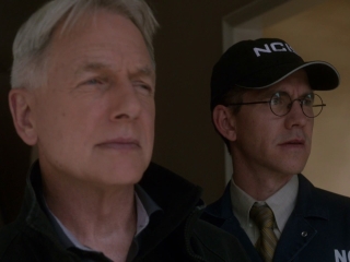 Mitch Donaldson's Instagram, Twitter & Facebook on IDCrawl