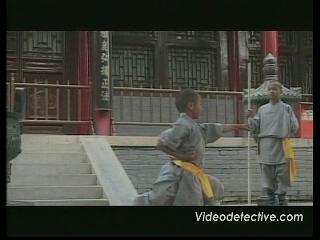 Little Shaolin Monks - Where to Watch and Stream - TV Guide