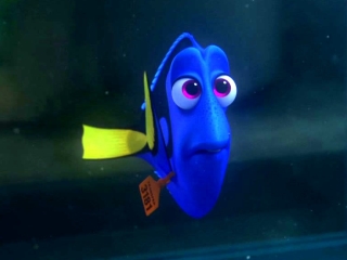 Finding Dory: Short Term Memory Loss (French) Clip (2016) - Video Detective