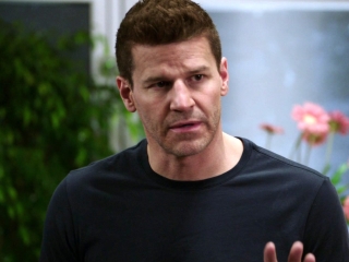 Jamie Forsyth - TV Guide