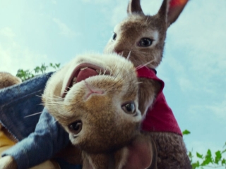 Peter Rabbit (Norwegian Trailer 2 Subtitled) Trailer (2018) - Video ...