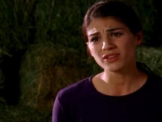 Wildfire - Where to Watch and Stream - TV Guide