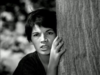 The Deserter - Where to Watch and Stream - TV Guide