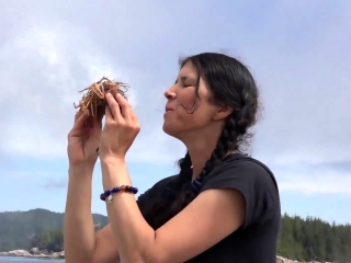 Joe Robinet - TV Guide