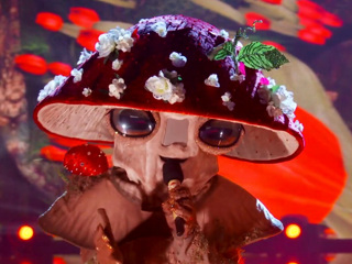 The Masked Singer: The Reveal Of Miss Teddy - TV Guide