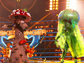 The Masked Singer: Ringmaster Performs The Climb - TV Guide