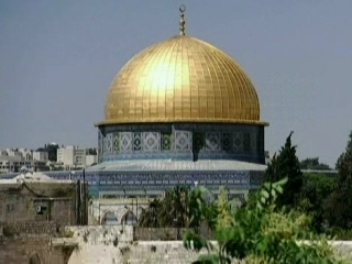 Human Weapon - Where to Watch and Stream - TV Guide