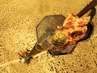 Fall - Where to Watch and Stream - TV Guide