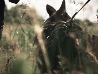 Missing 411: The U.F.O. Connection - Where to Watch and Stream - TV Guide