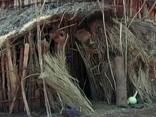 A Walk to Beautiful - Where to Watch and Stream - TV Guide