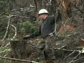 Ax Men - Where to Watch and Stream - TV Guide