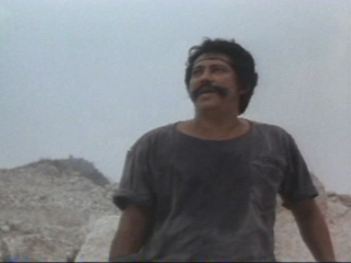 Archie Adamos - TV Guide