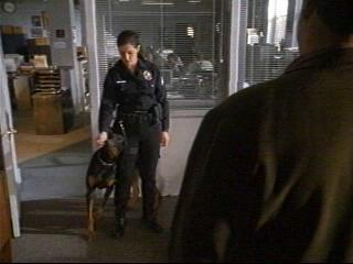 K-911 - Where to Watch and Stream - TV Guide