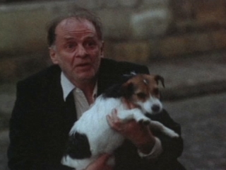 Divided We Fall - Where to Watch and Stream - TV Guide