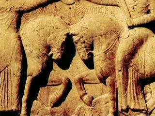 Surviving History - Where to Watch and Stream - TV Guide