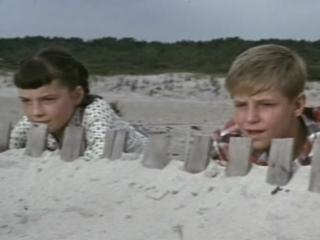 Misty - Where to Watch and Stream - TV Guide