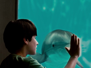 Dolphin Tale Reviews - Metacritic